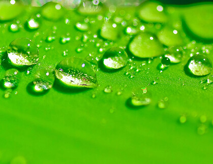 Surface Drying - Eliminate Moisture