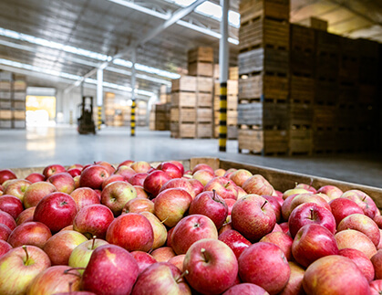 Ethylene Control in Fruits and Vegetable Storage